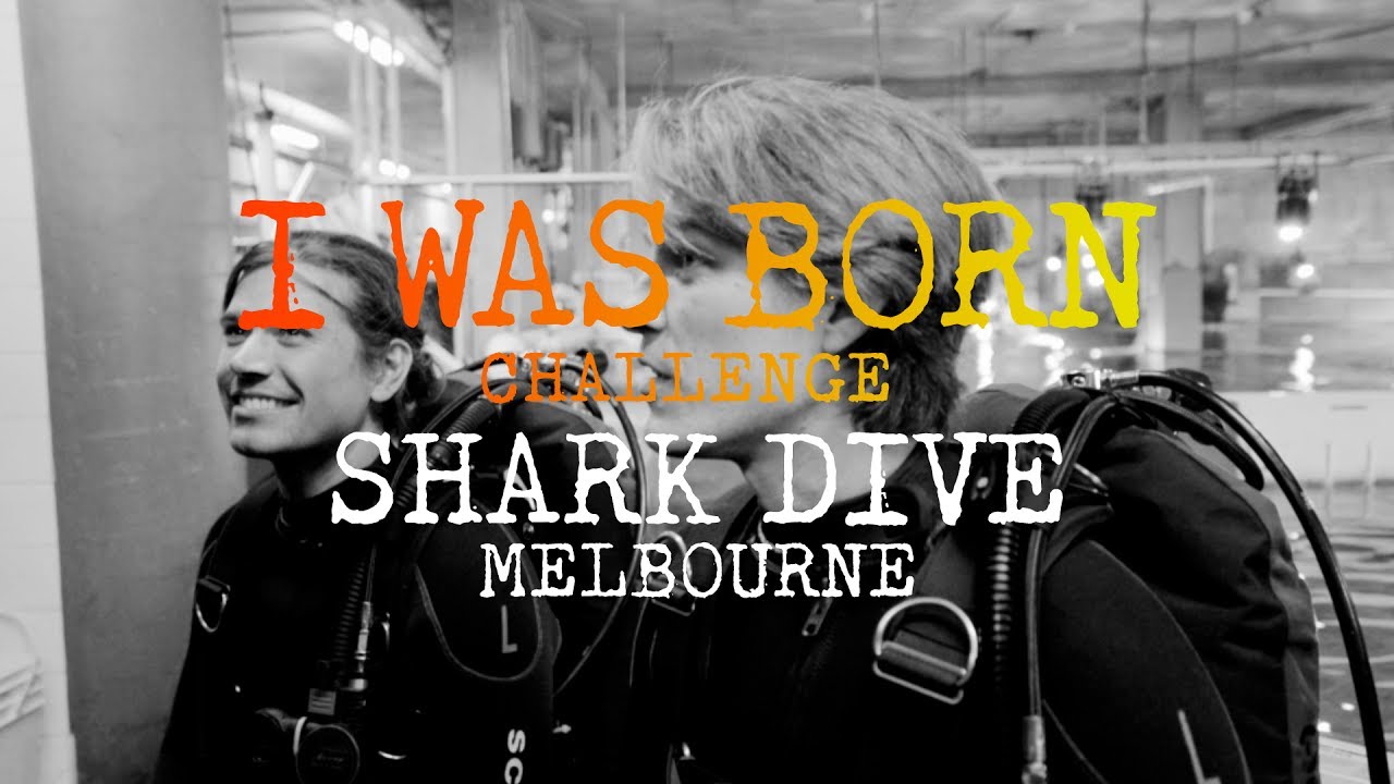 I Was Born Challenge: Shark Dive Melbourne - YouTube