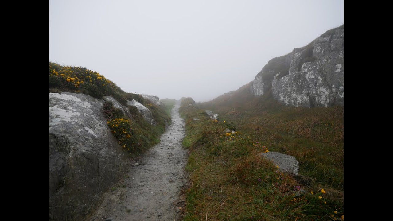 'Facing the Future'. Presented by Nicholas Vesey, November 17th, 2024 ...