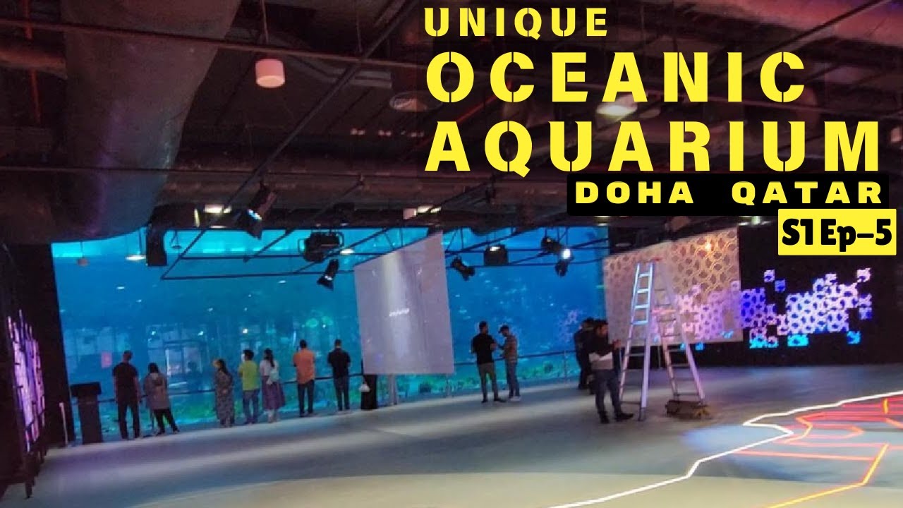 Unique oceanic aquarium Qatar | Mwani Qatar | City Gallery in Doha # ...