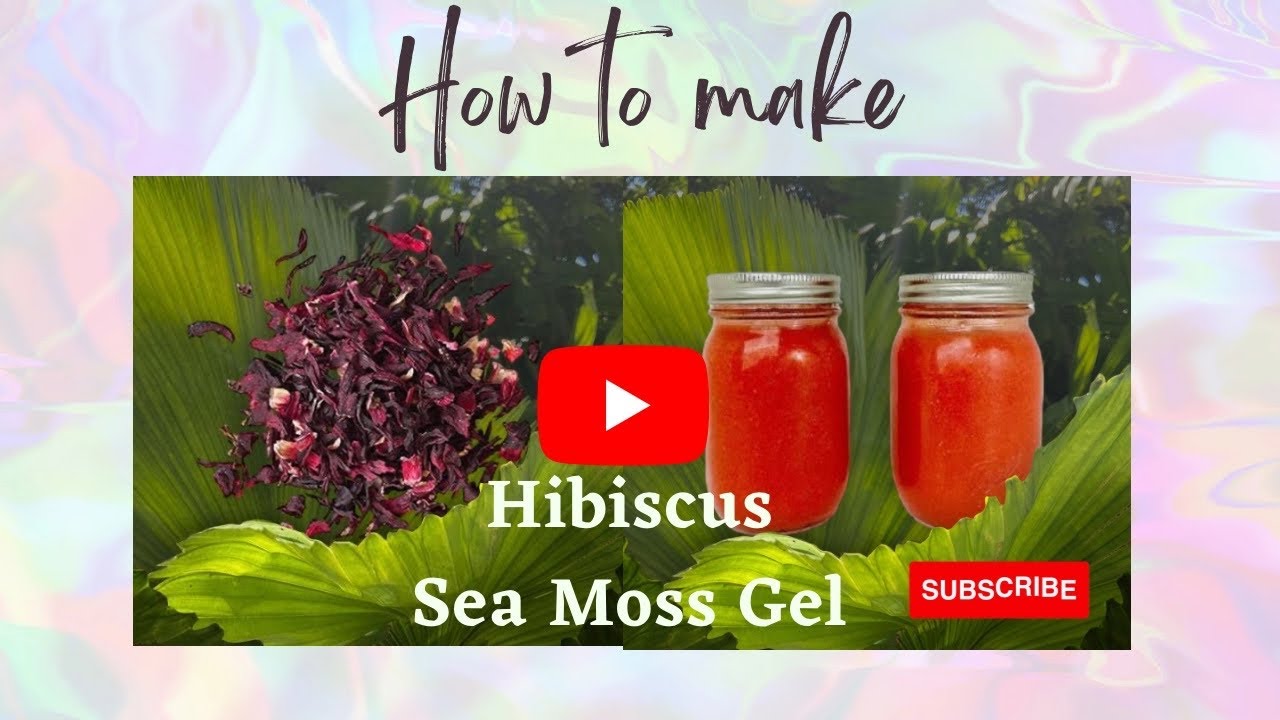 How To Make Perfect Hibiscus Sea moss Gel! 3 Easy Steps #seamoss - YouTube