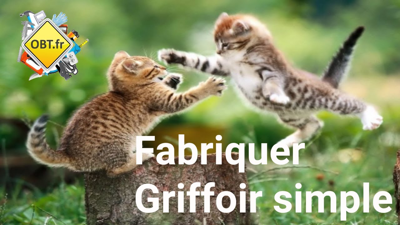 Fabriquer un Griffoir Chat simple - YouTube