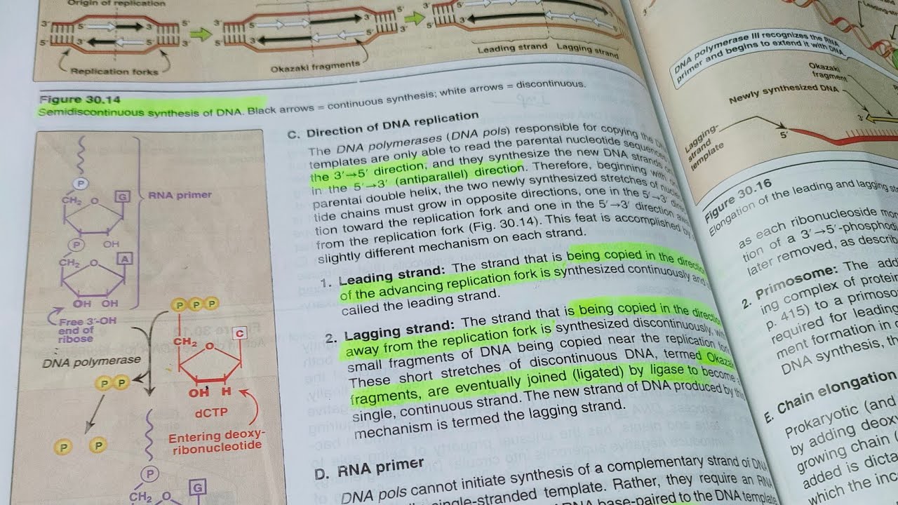 Genetics Part 3 /Chapter 30 Lippincott/Biochemistry - YouTube