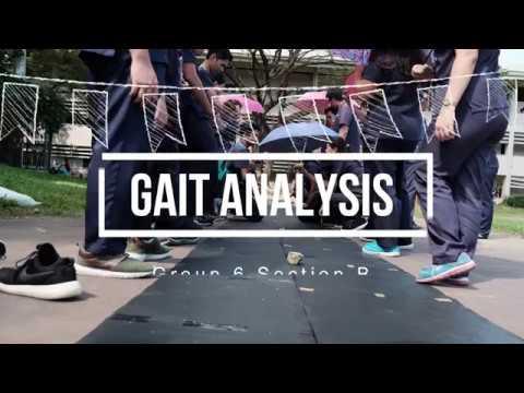 Gait Analysis | Normal Gait & Pathological (Calcaneal Gait) - YouTube