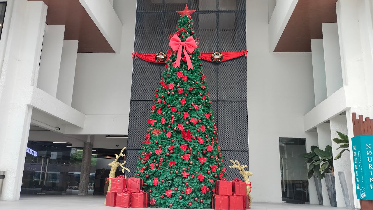 PO267 SLS WISHING YOU PEACE AND JOY ALL SEASON LONG. - YouTube