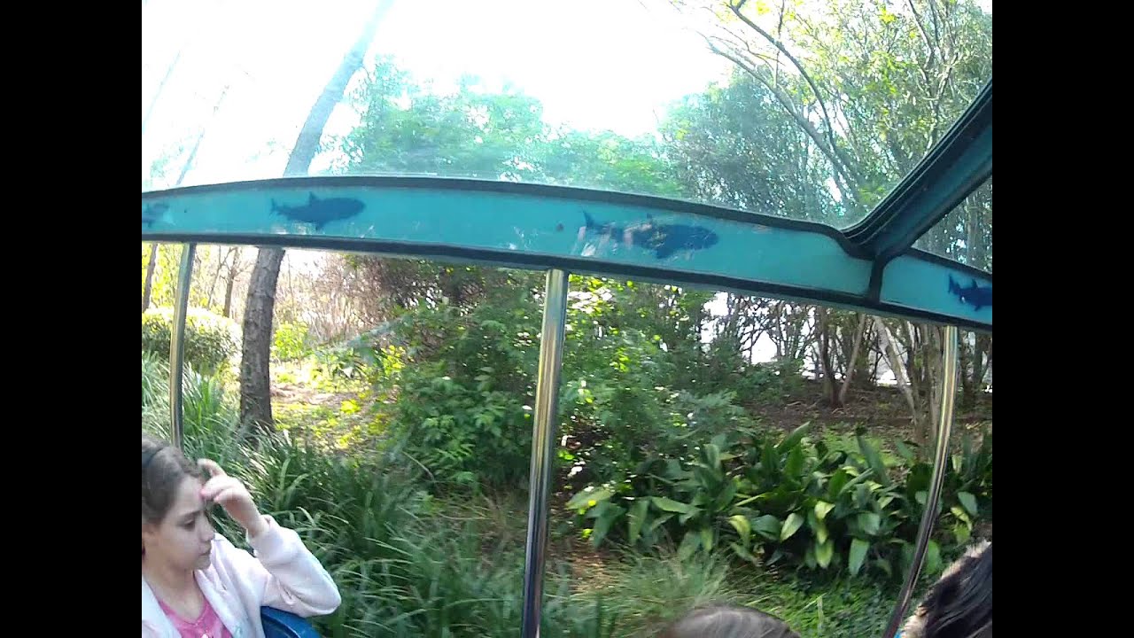Shark Voyage Train Ride - YouTube