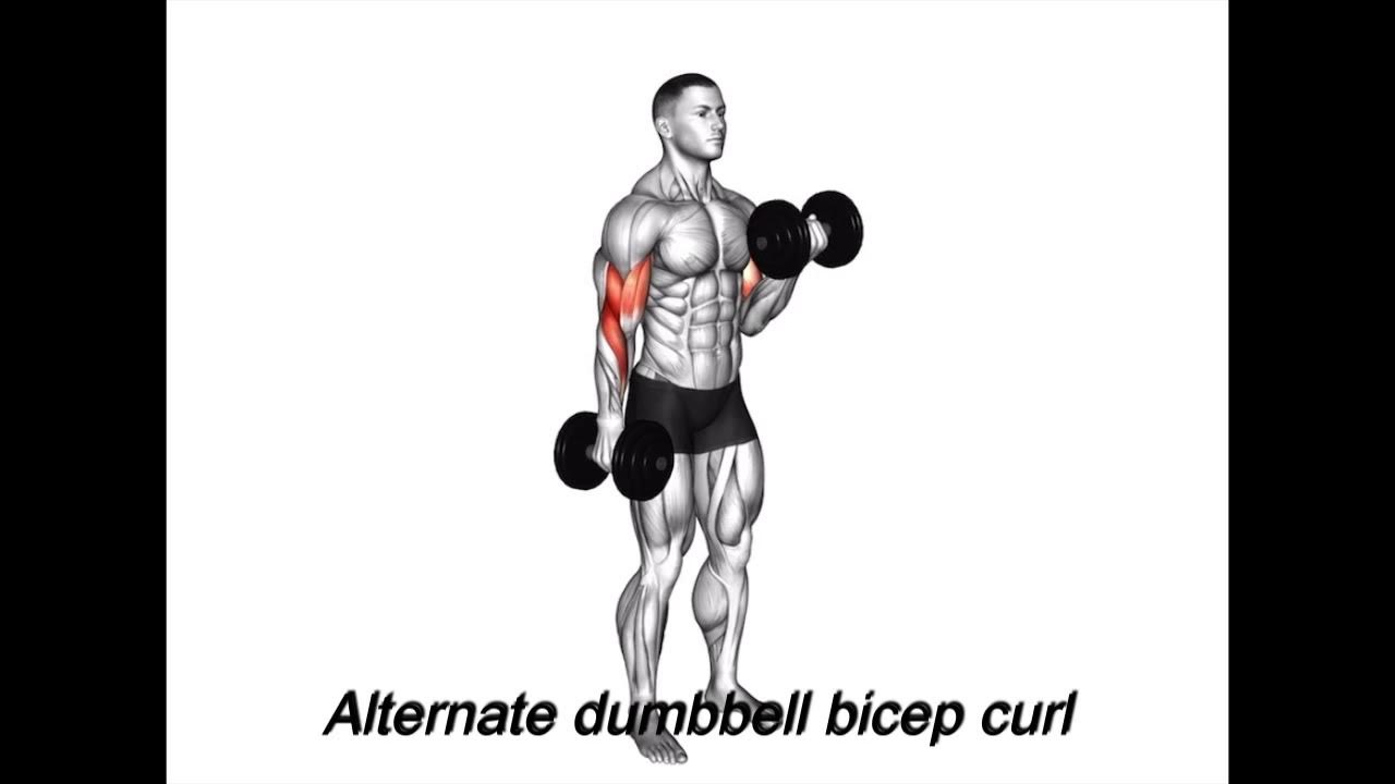 Alternate dumbbell bicep curl - YouTube