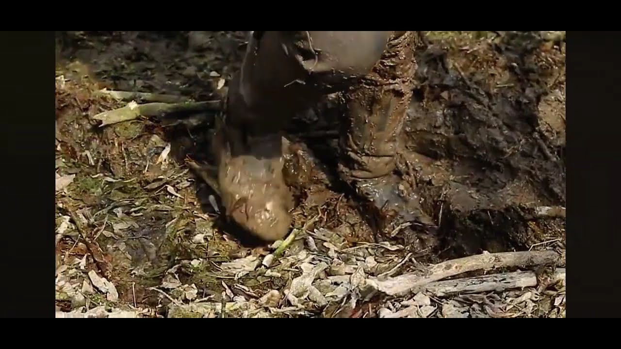 Lost Boots In Riverside Mud - YouTube