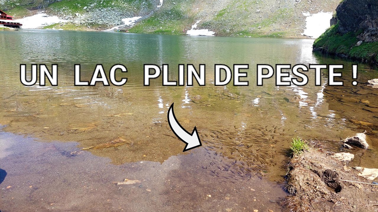 Plin de peste Lacul Balea - Lac superb - peisaj de vis - YouTube