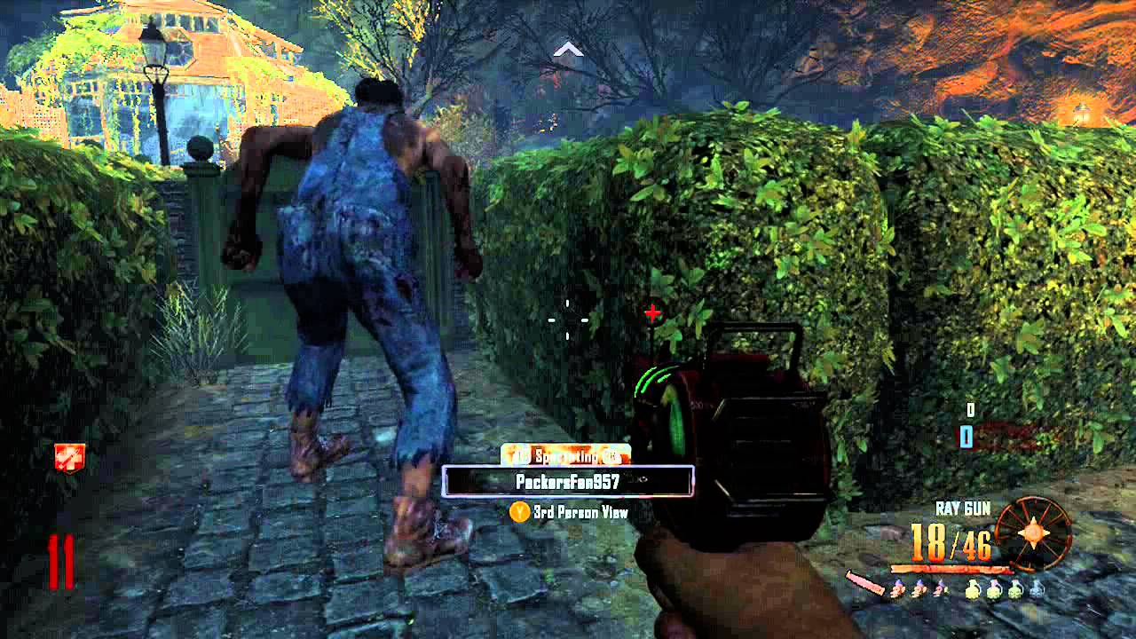 CALL OF DUTY Black ops 2 zombies pack vs witch - YouTube