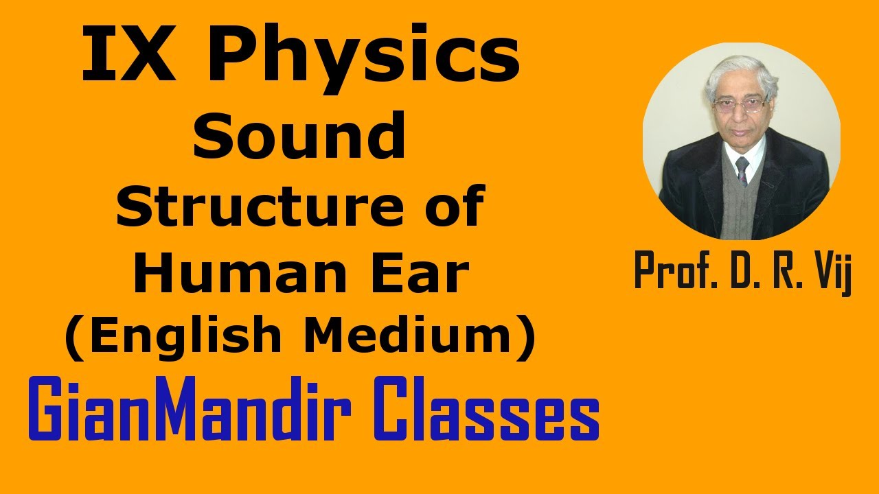IX Physics | Sound | Structure of Human Ear (English Medium) by Sumit ...