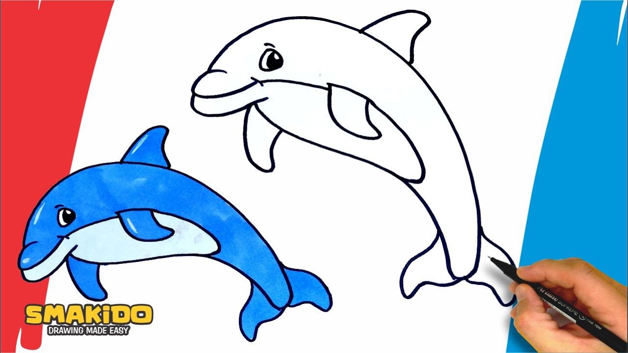 How to Draw a Dolphin For Kids and Beginners | Dolphin Drawing Simple ...