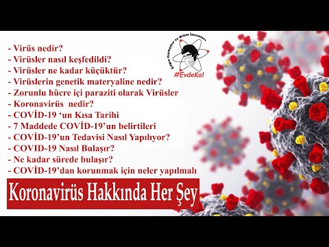 KORONAVİRÜS HAKKINDA HER ŞEY ! (Korona Günlerinde Yayın)