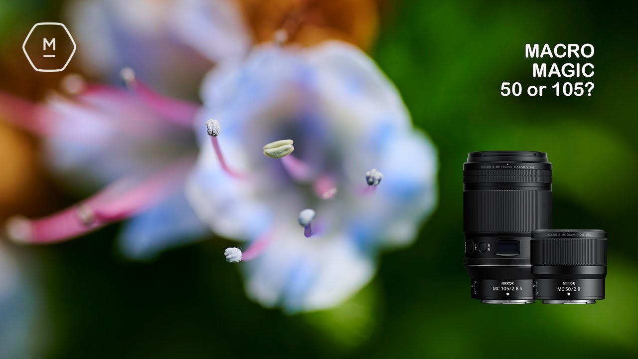Which MC? Nikon MC 105mm or MC 50mm | Which One For You? | Matt Irwin ...