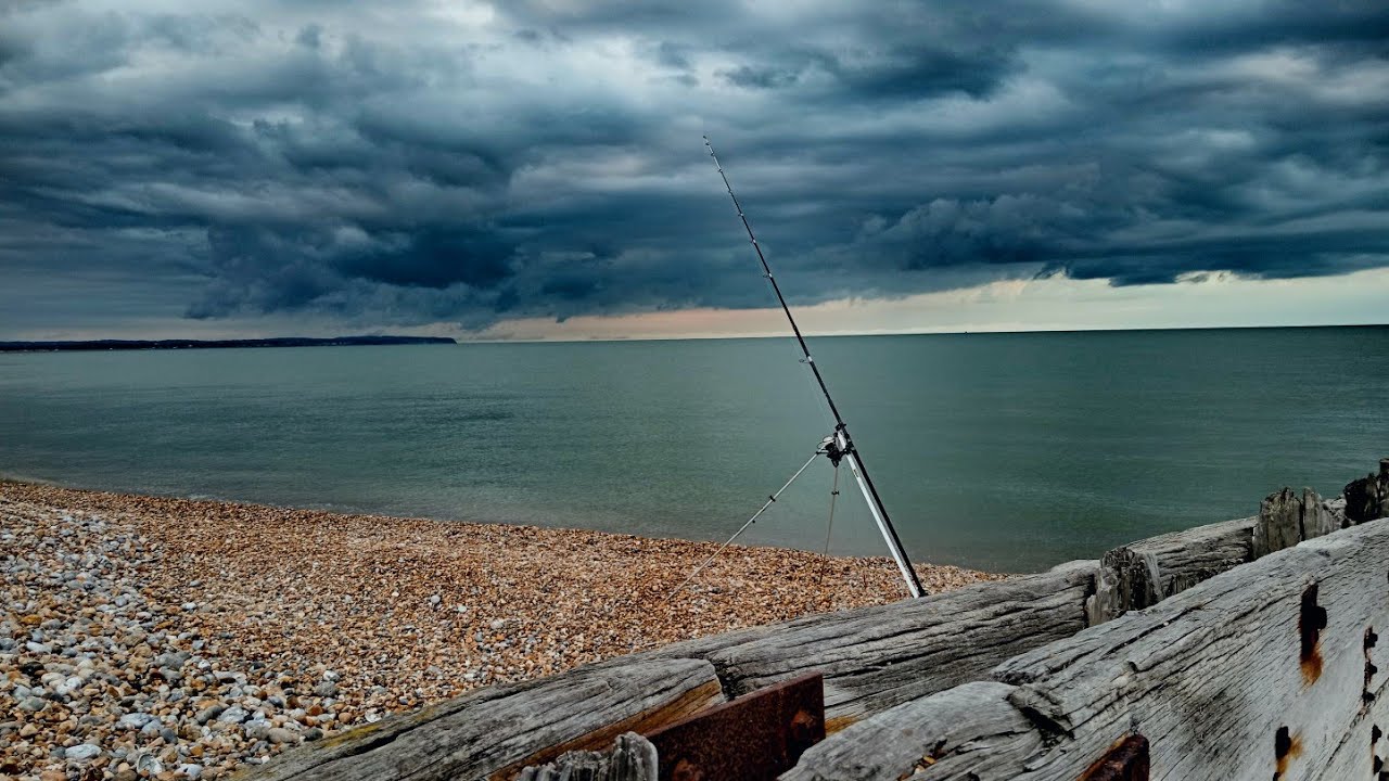 SEA FISHING UK - WHITE HORSES PEVENSEY BAY - SHORE FISHING IN EAST ...