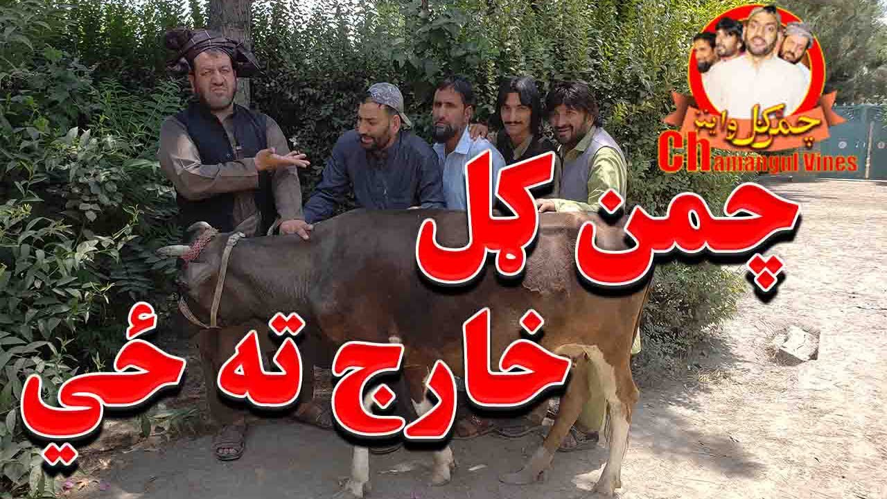 Chaman Gul wants go foreign چمن ګل خارج ته ځی - YouTube