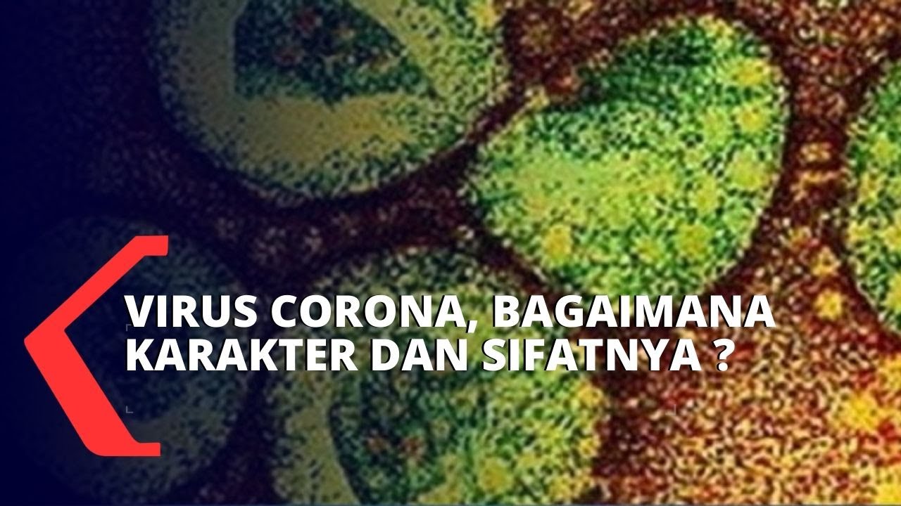 Ini Karakter dan Sifat Virus Corona - YouTube