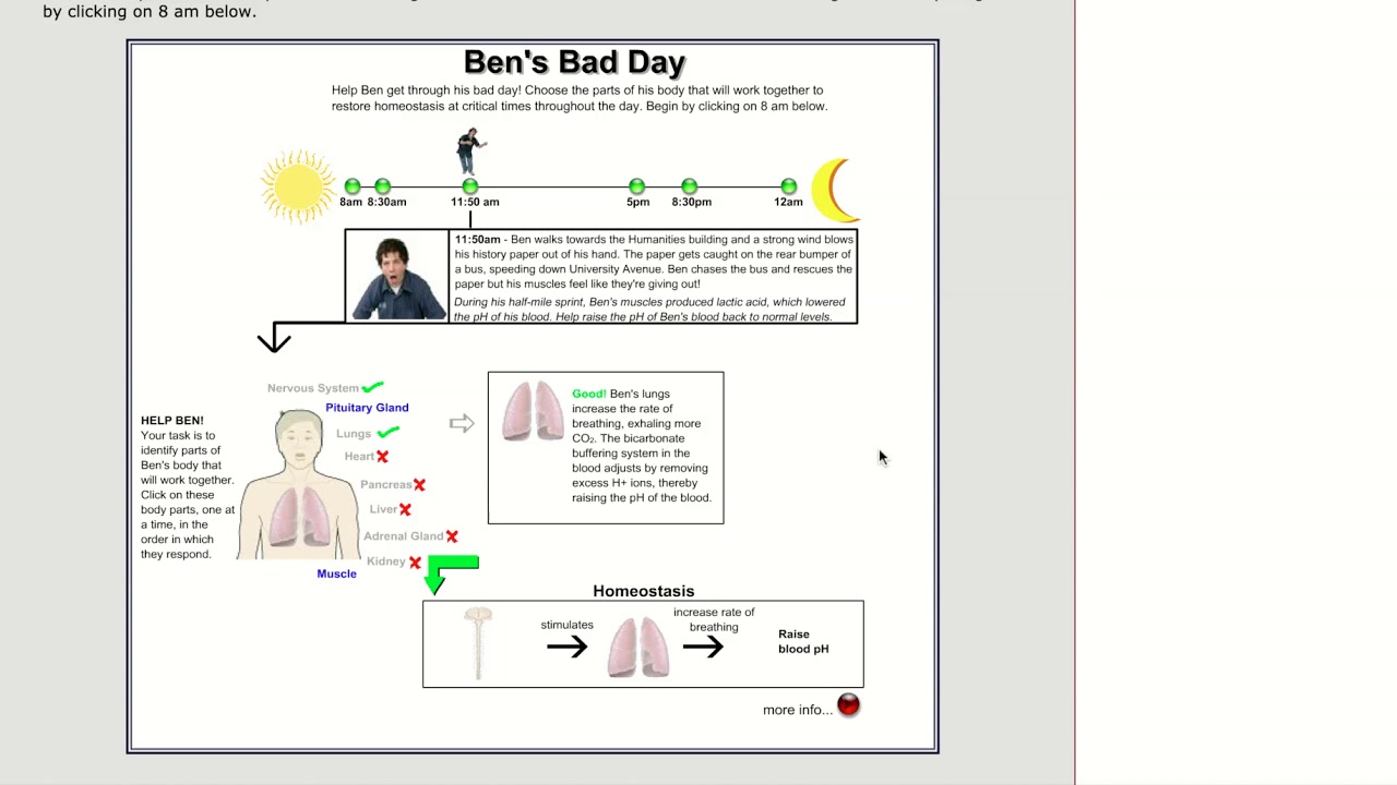 Homeostasis: Fluid Balance, part 1 - YouTube