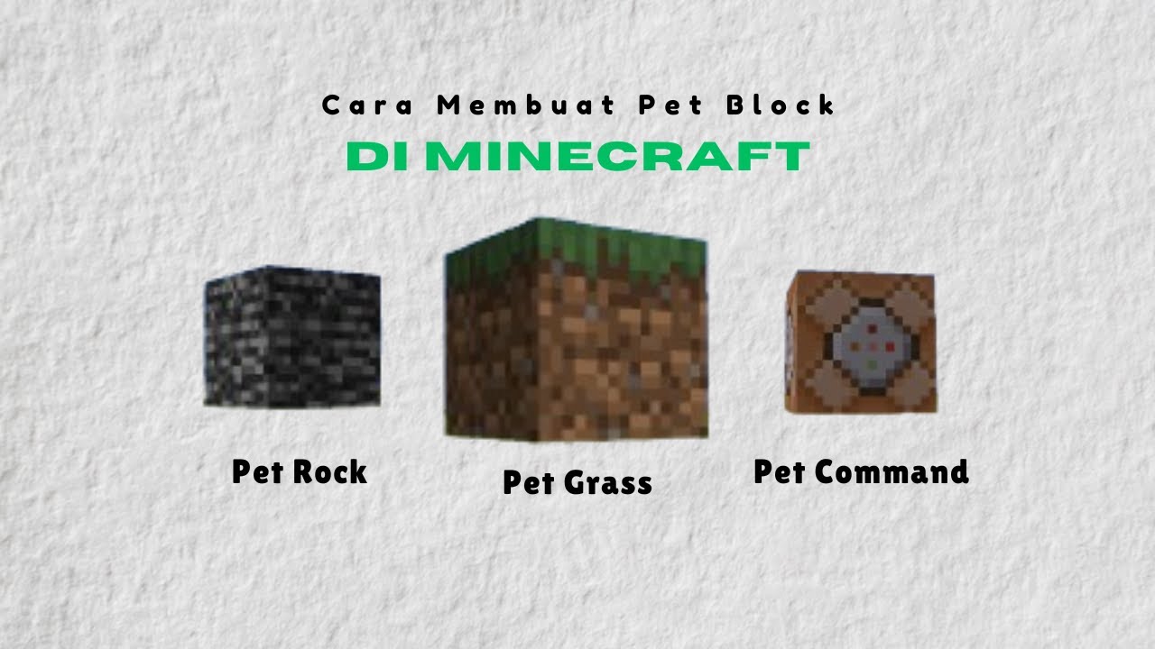 Membuat Pet Block di MINECRAFT! - YouTube
