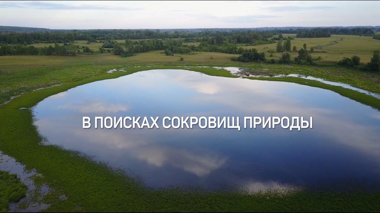 В поисках сокровищ природы - YouTube