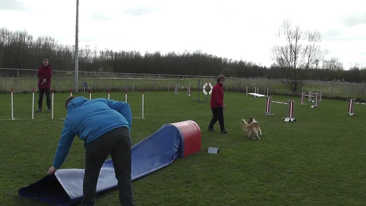 2012 KC Delft Fancy jumping - YouTube