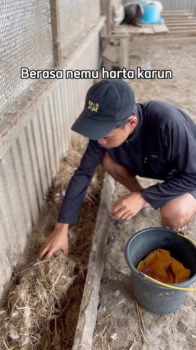 Berasa nemu harta karun - YouTube