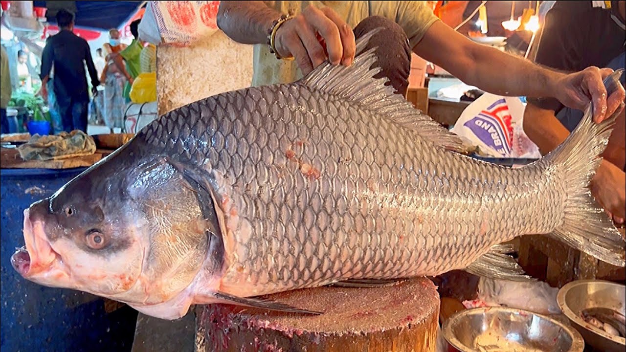 17 Kg Giant Katla Fish Cutting Live In Fish Market | Fish Cutting Skill ...
