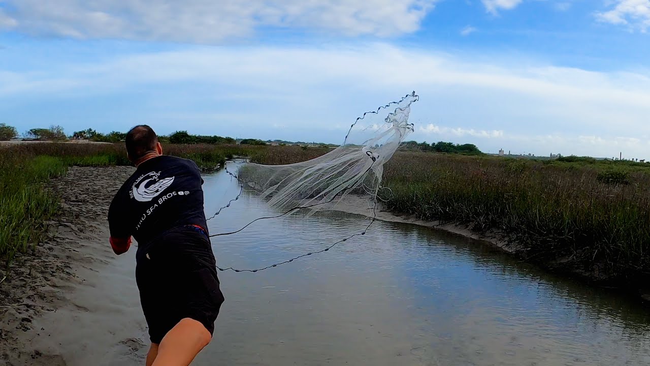 Catching bait fish with the ole cast net! - YouTube