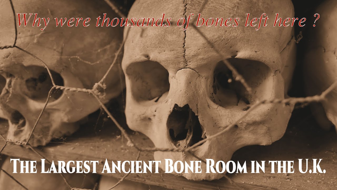 The Largest Bone Room in the U K - YouTube