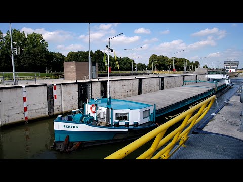 Sluis Osen / Linne (3/3) - YouTube