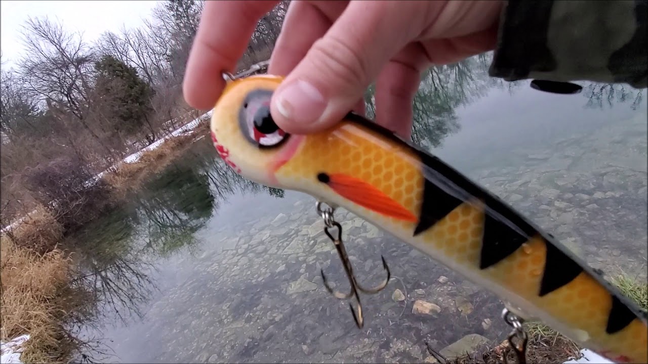 Wild Mango Perch Glide by Pulse Customs - YouTube