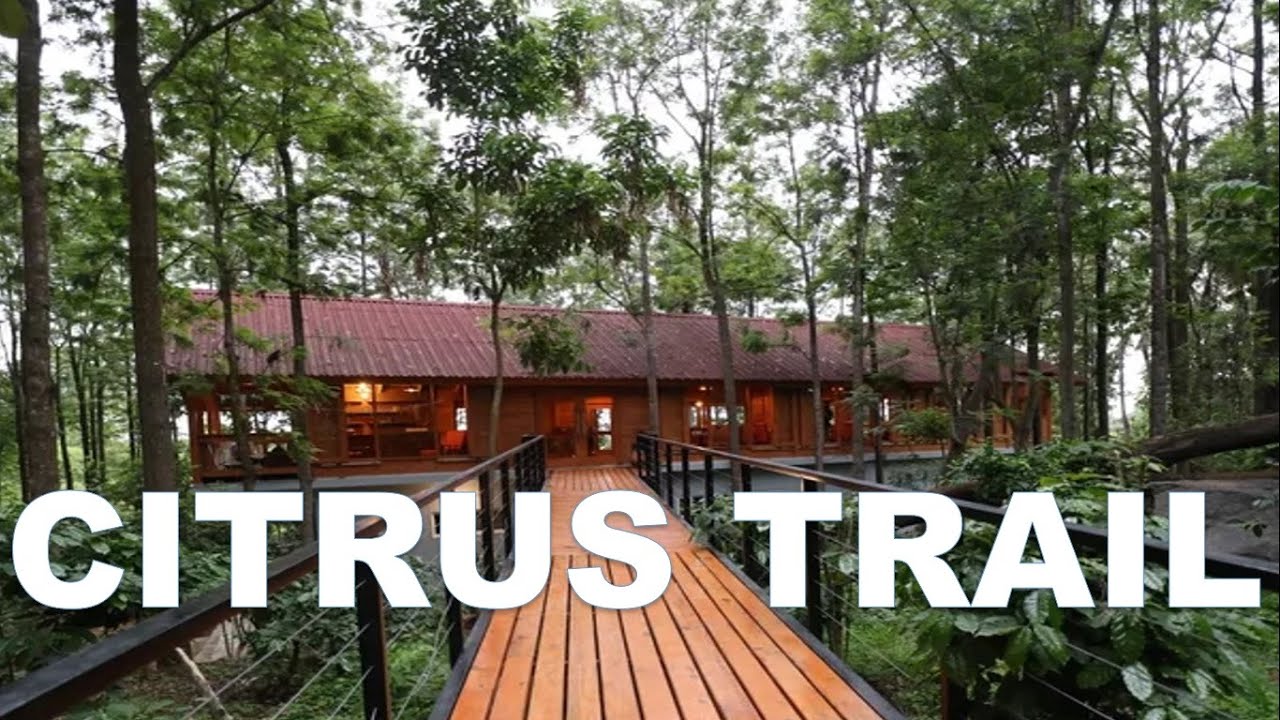 Citrus Trail | Coffee Plantation | Mini Coorg within 40 KMs from ...