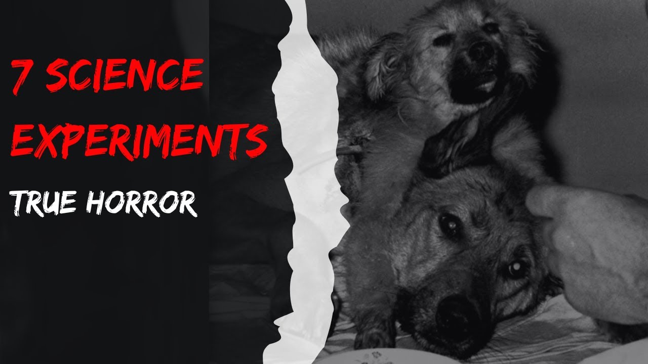 7 Scary TRUE SCIENCE Experiments Horror Stories - YouTube