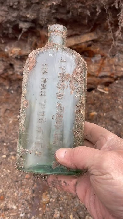 RARE Bottles Found! Bottle Digging Relic Hunting Mudlarking Treasure Hunt Privy Dig Metal ...