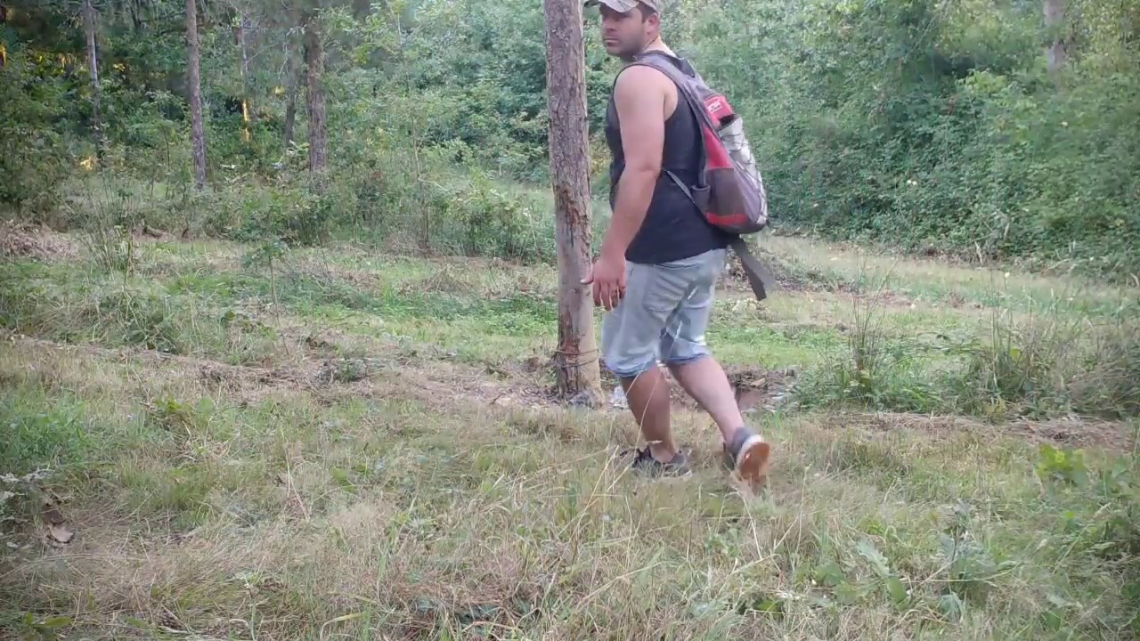 piège photographique.....on retrouve la foret... - YouTube
