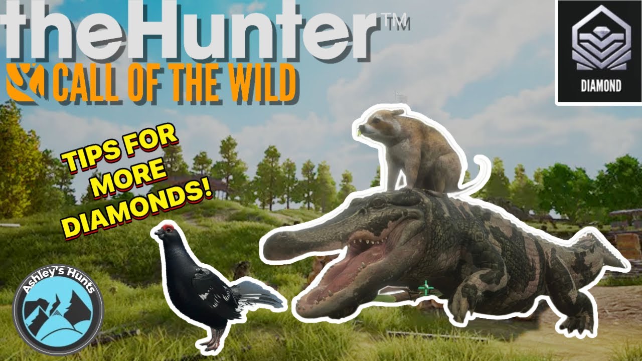 HOW TO FIND MORE DIAMONDS!!!! The Hunter call of the wild - YouTube