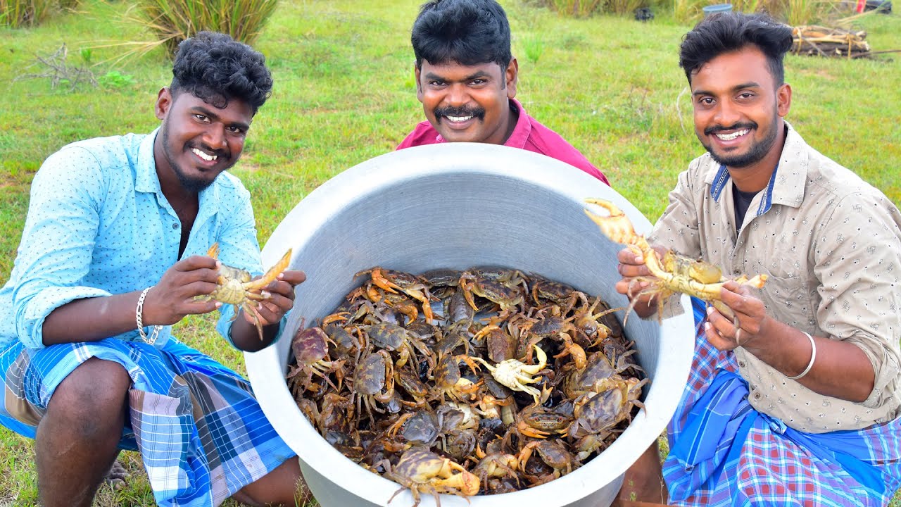 COUNTRY CRAB GRAVY | Mud Crab Catching in Agricultural land | Vayal ...