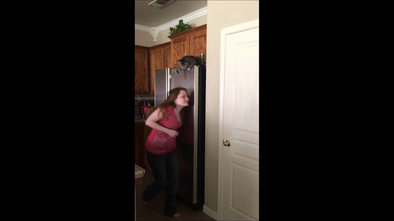 Dante Being a Stinker - YouTube