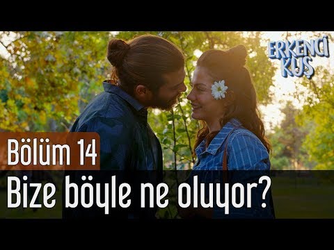 Erkenci Kuş 14. Bölüm - Bize Böyle Ne Oluyor?