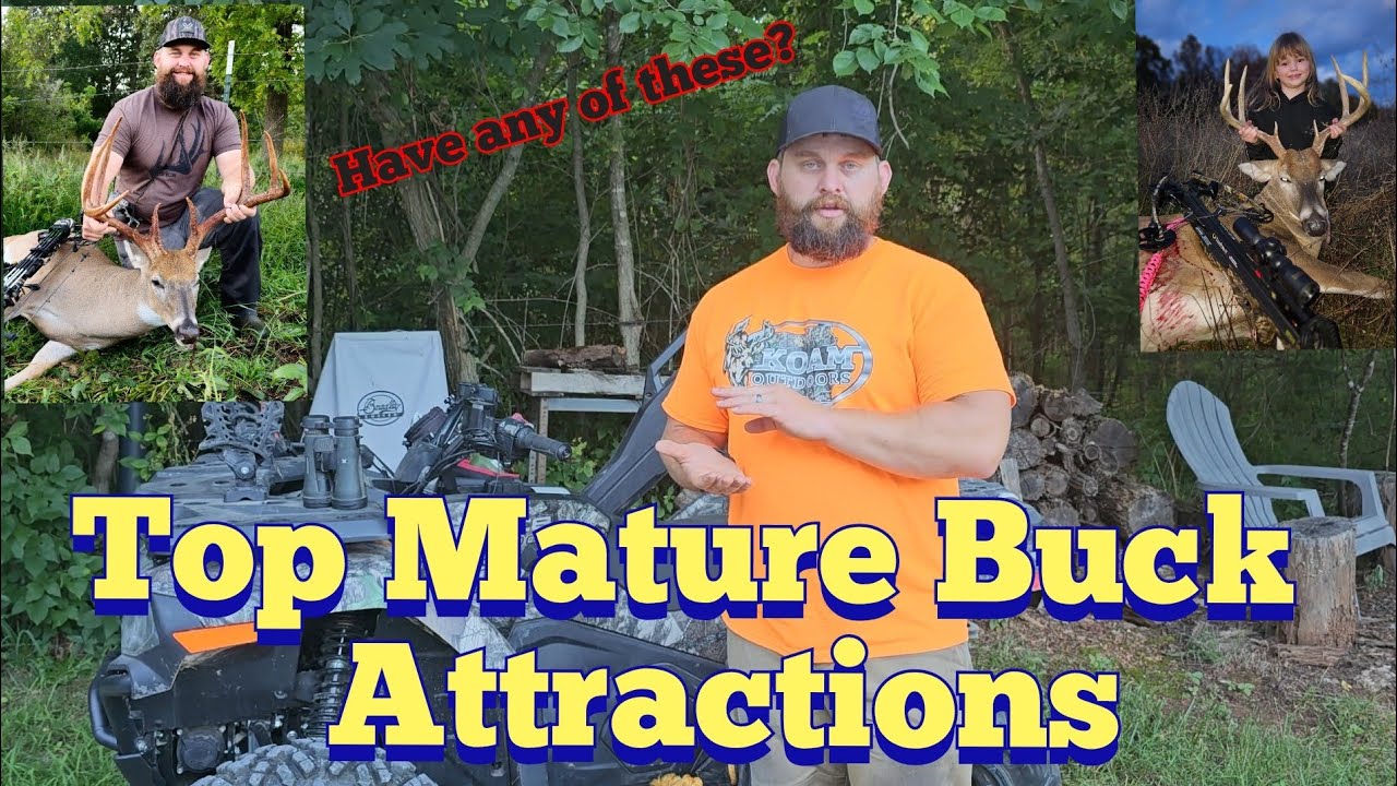 Top Mature Buck Attractions | KOAM Outdoors Strategies - YouTube