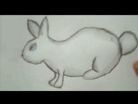 Rabbit pencil shading | Pencil shading | Rabbit | Drawing | Rabbit ...