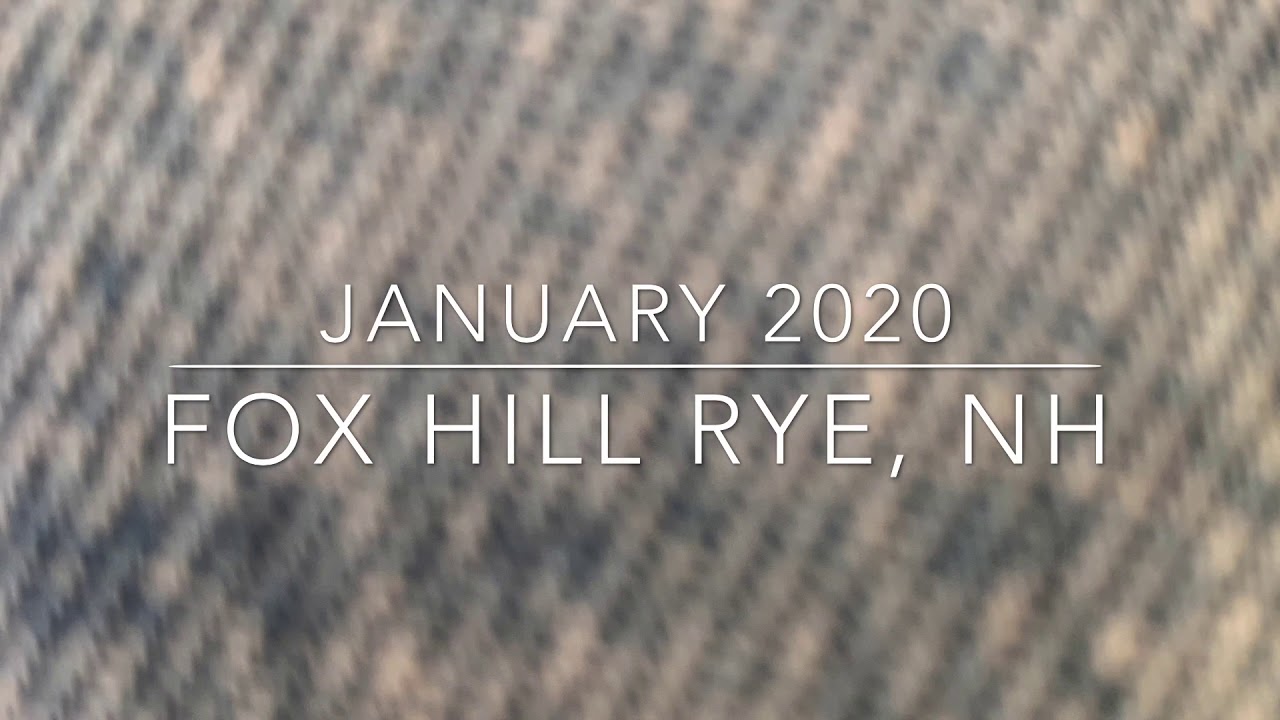 Surfing Fox Hill, Rye NH 2020 - YouTube