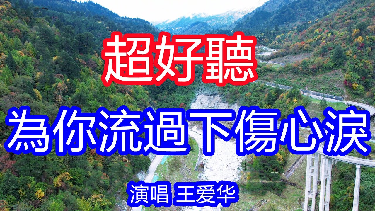 天呀！ 太好聽了，王愛華超火傷感情歌《為你流下傷心淚》，獨特的嗓音，單曲循環聽不夠！愛你恨你把淚流，愛而不得太遺憾！唱的撕心裂肺，聽得痛哭流涕 ...