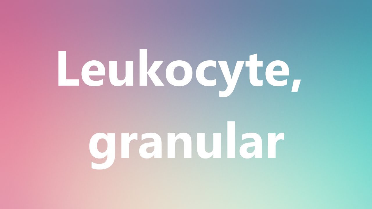 Leukocyte, granular - Medical Definition and Pronunciation - YouTube