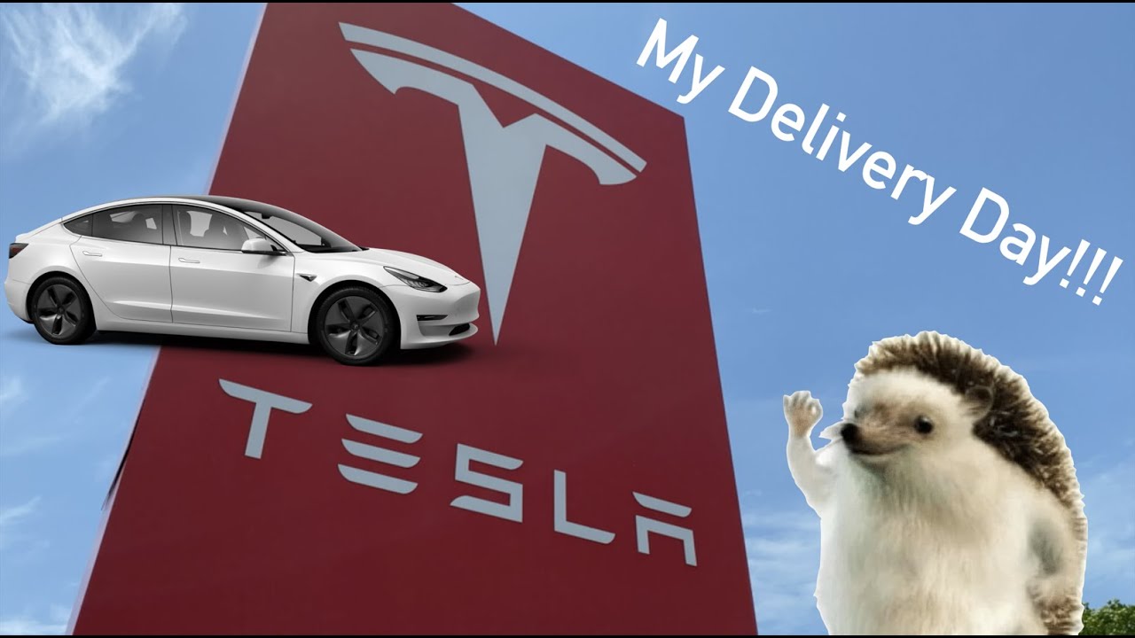 Tesla Model 3 - My Order Process and Delivery Day [Vlog] - YouTube