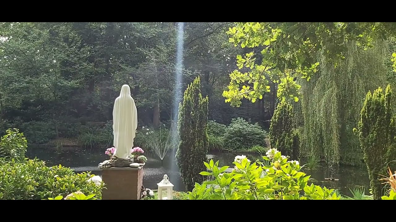 👑 BIJZONDER LICHT in het Heiligdom Onze Lieve Vrouw ter Nood, Heiloo ...