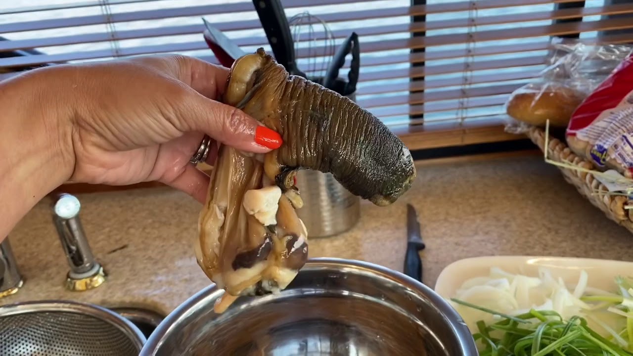 Siêu phẩm ốc vòi voi - Horse clam - weird shape but taste awsome - YouTube