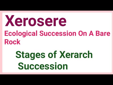 Ecological Succession (Stages in Lithosere) Xerosere (Stages in a ...