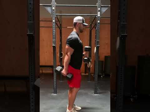 Alternating DB Hammer Curls w/Iso Hold - YouTube