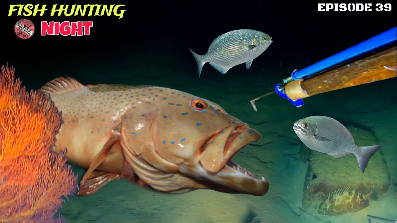 NIGHT SPEARFISHING EPISODE 39 | FISH HUNTING NIGHT - YouTube