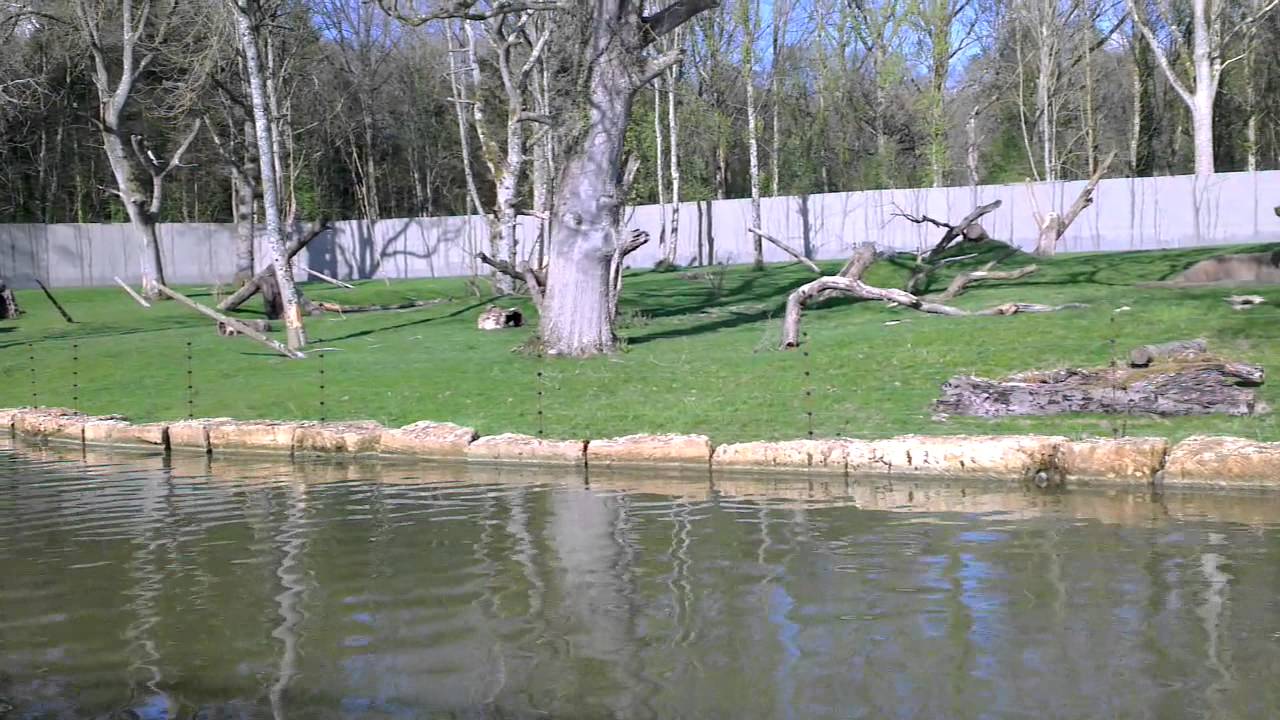 Boat Ride - Longleat Safari Park - YouTube